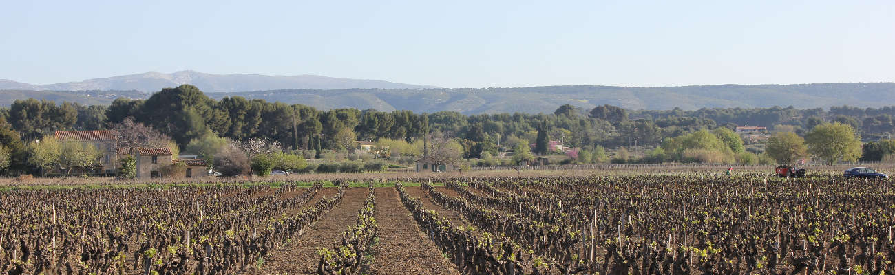 Bandol ⭐️ 10 Best Wineries & Vineyards to Visit (2025)