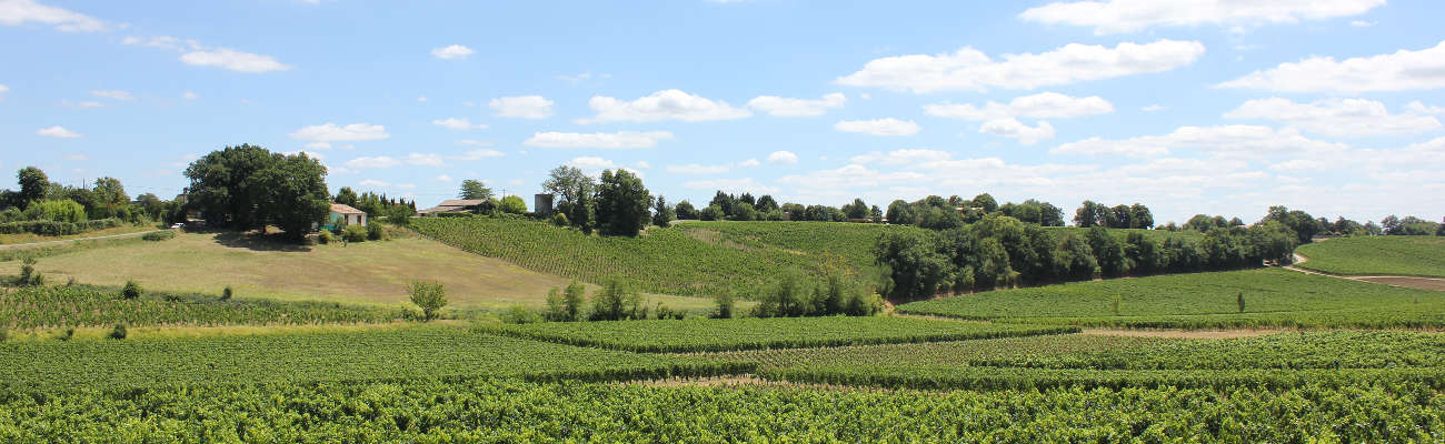 Fronsac ⭐️ Top Visite Chateau, Cave, Dégustation Vin ️ 2026