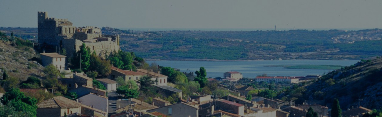 Fitou ⭐️ 10 Best Wineries & Vineyards to Visit (2025)