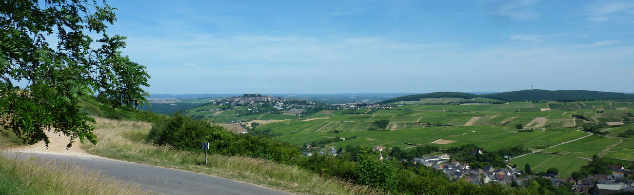 Vignoble Cher ⭐️ Top Visite Cave & Dégustation Vin ️ 2025
