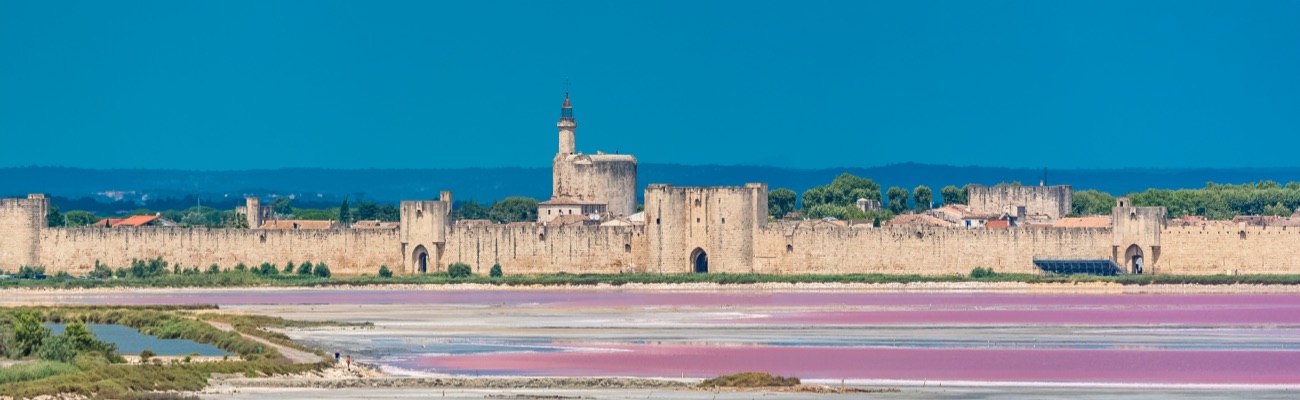 Camargue ⭐️ 10 Best Wineries & Vineyards to Visit (2025)