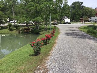 RV Parky | RV Parks & Campgrounds Directory, Reviews, Photos