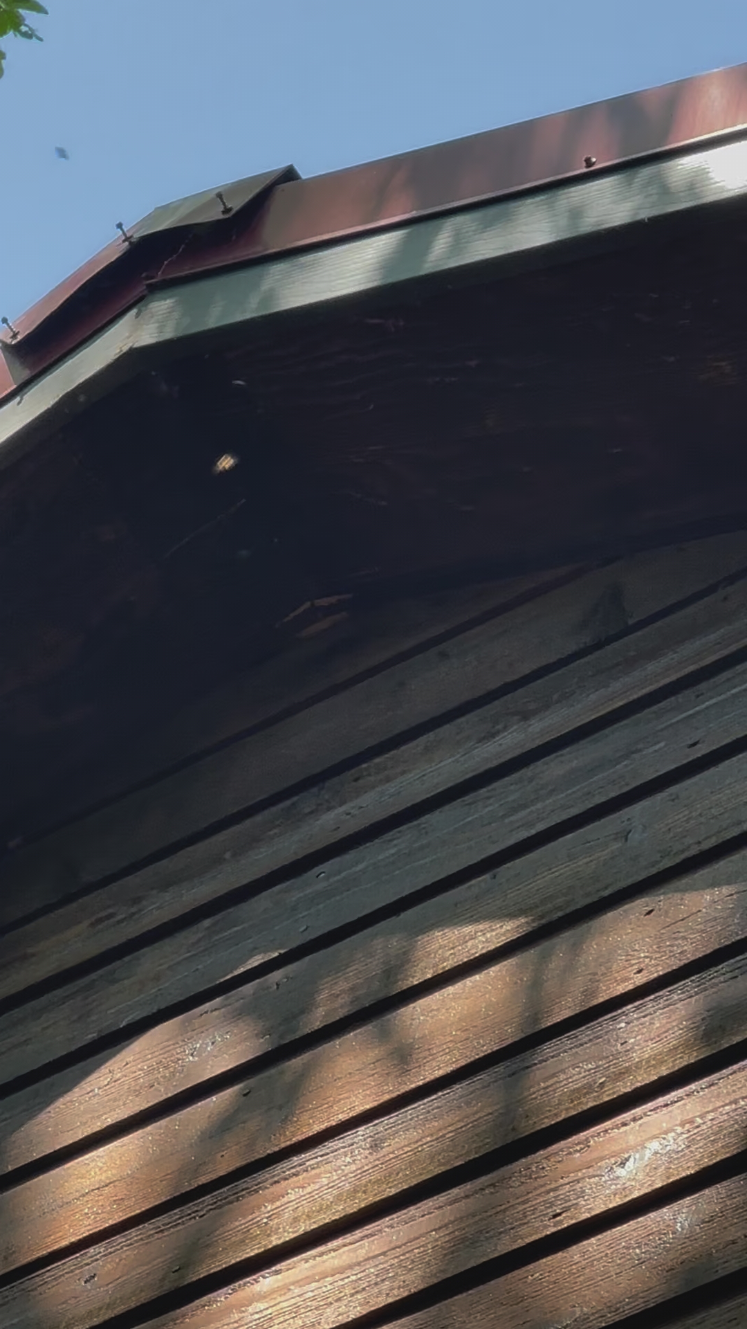 Service Areas for Extermco | Fort Smith & Springdale