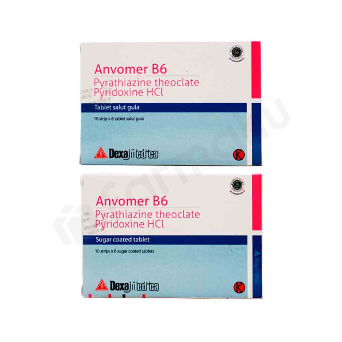 Anvomer B6 | Farmaku