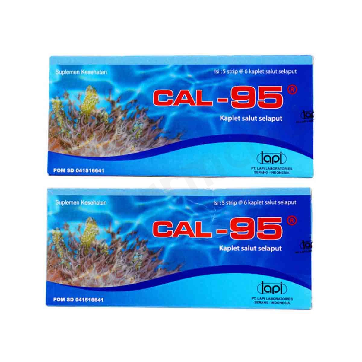 Cal-95 6 Kaplet | Farmaku