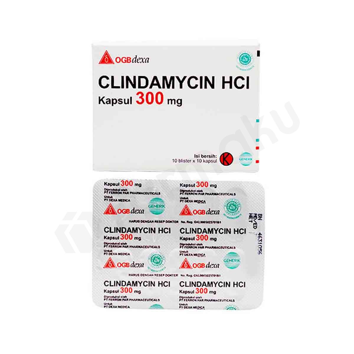 Clindamycin 300 mg Kapsul Dexa | Farmaku