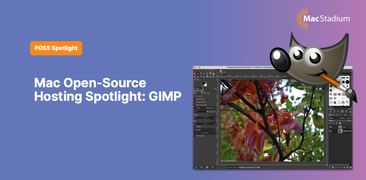 Mac Open-Source Hosting Spotlight: GIMP
