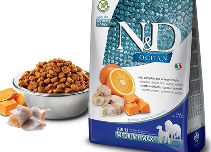 All about Farmina dry dog food