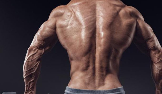 How to build a wide back at home and in the gym