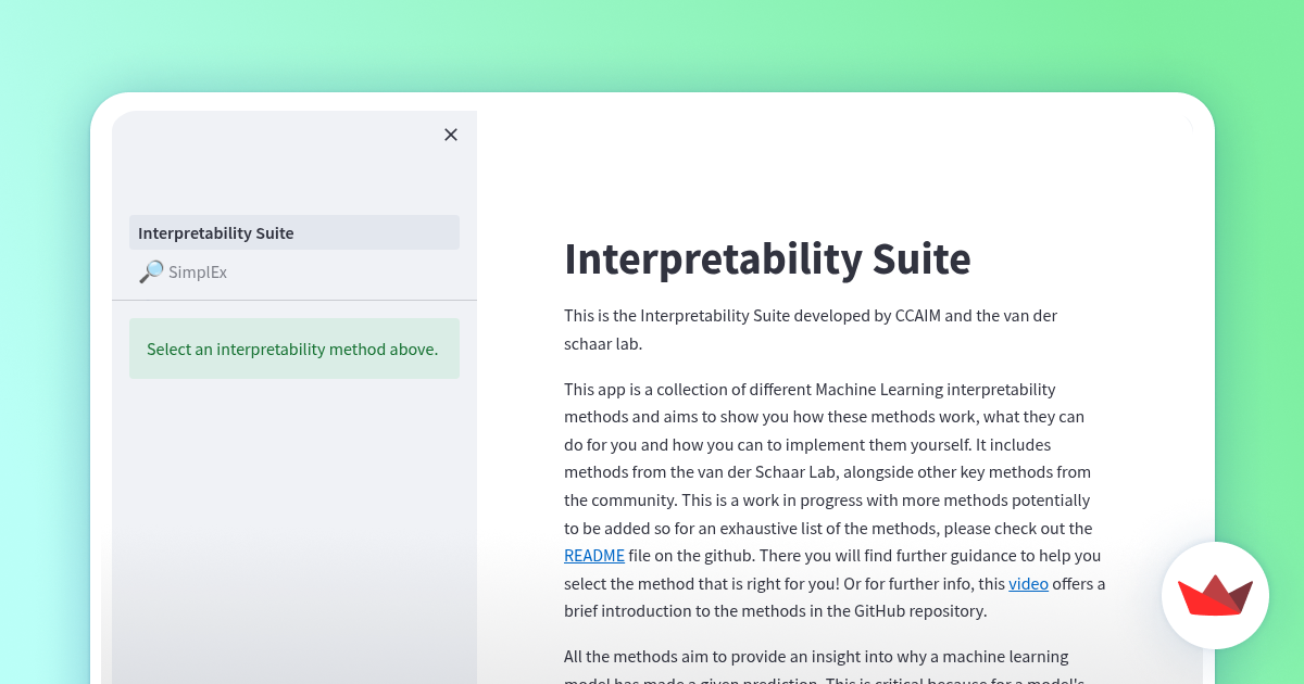 Interpretability Suite