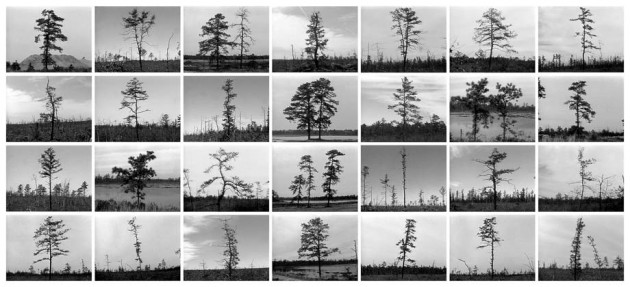 Nancy Holt: Photoworks at Haunch of Venison, New Bond Street | PORT ...