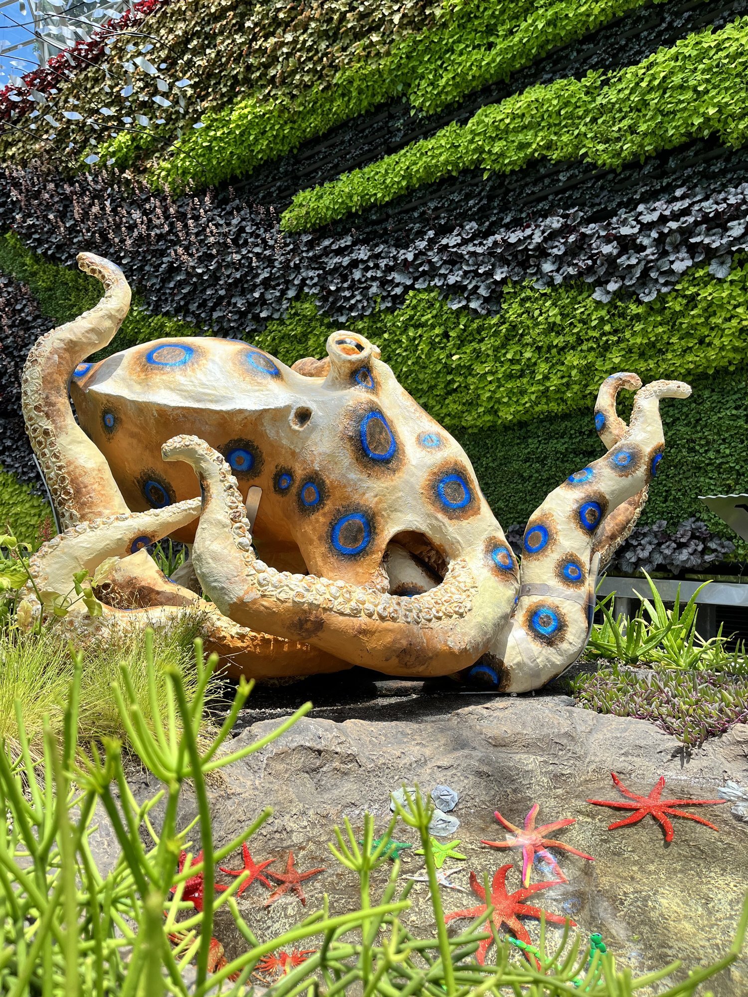 Lady Octopus - Studio A