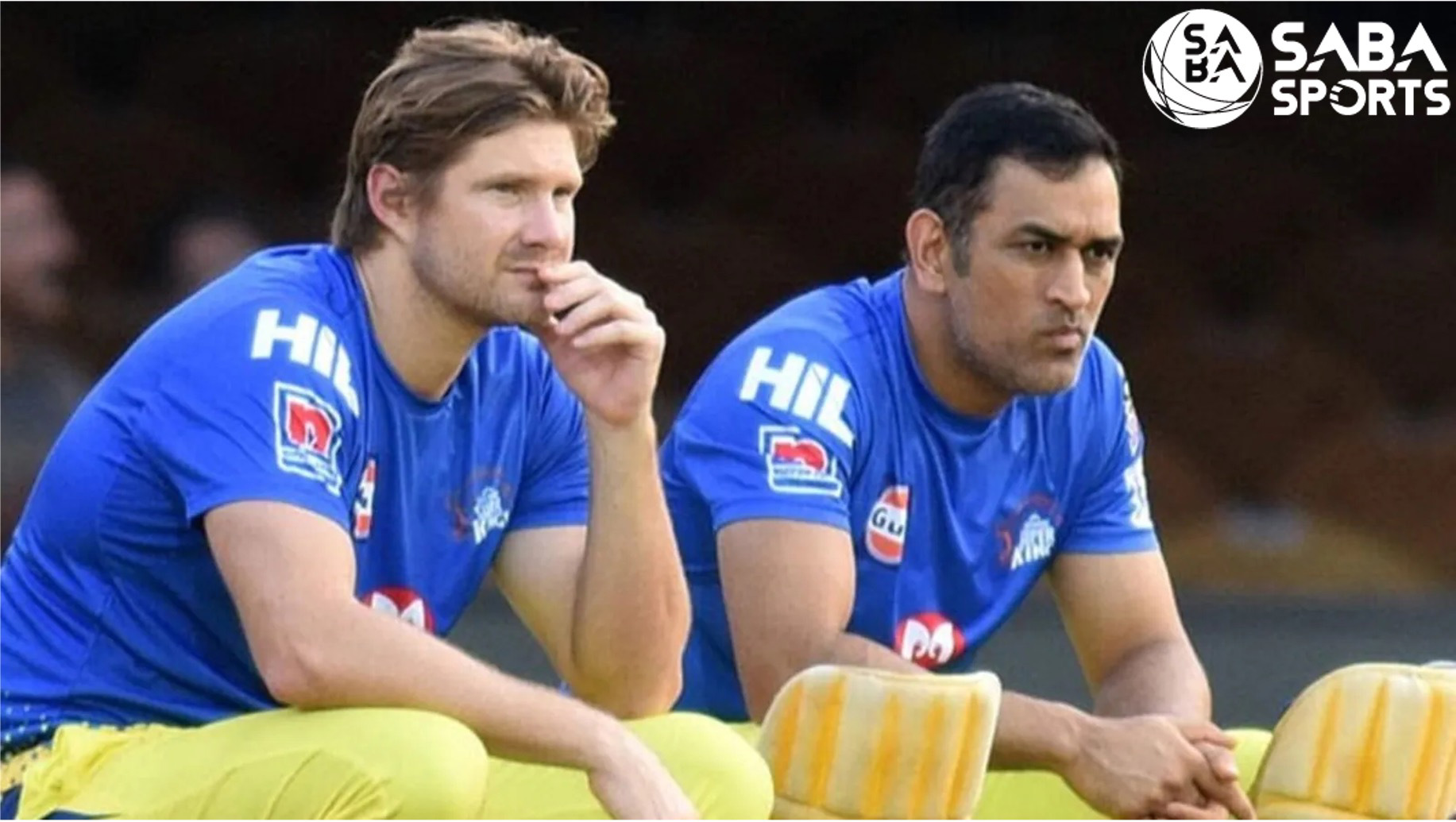 Shane Watson And Brett Lee