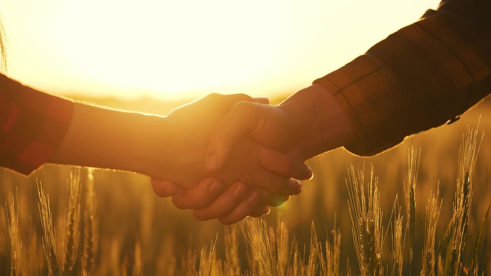 Sabil - سابل | Our Partners