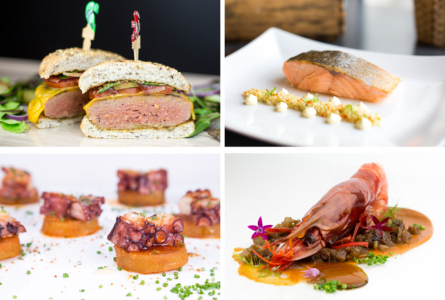 10 raisons d'avoir besoin du Janby Track | Actualités | Sammic