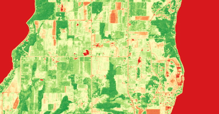NDVI For Vegetation Health | SkyFi