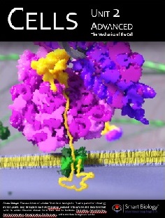 Smart Biology