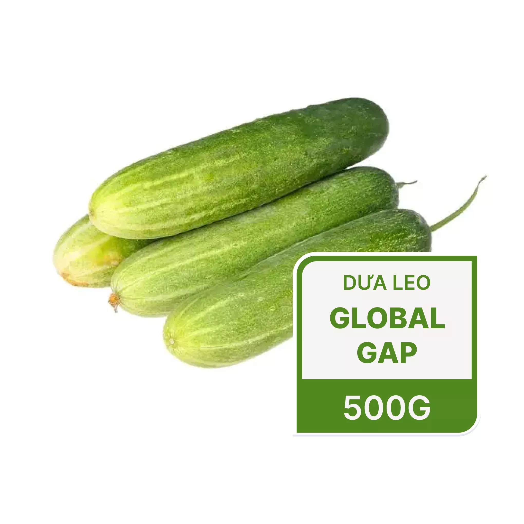 Dưa leo GlobalGap vỉ 500g - Chuỗi siêu thị thực phẩm tươi ngon, chất ...