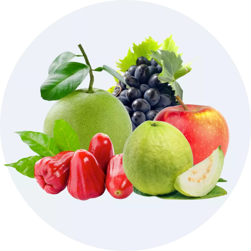 Trái cây Trung Thu - Chuỗi siêu thị thực phẩm tươi ngon, chất lượng ...
