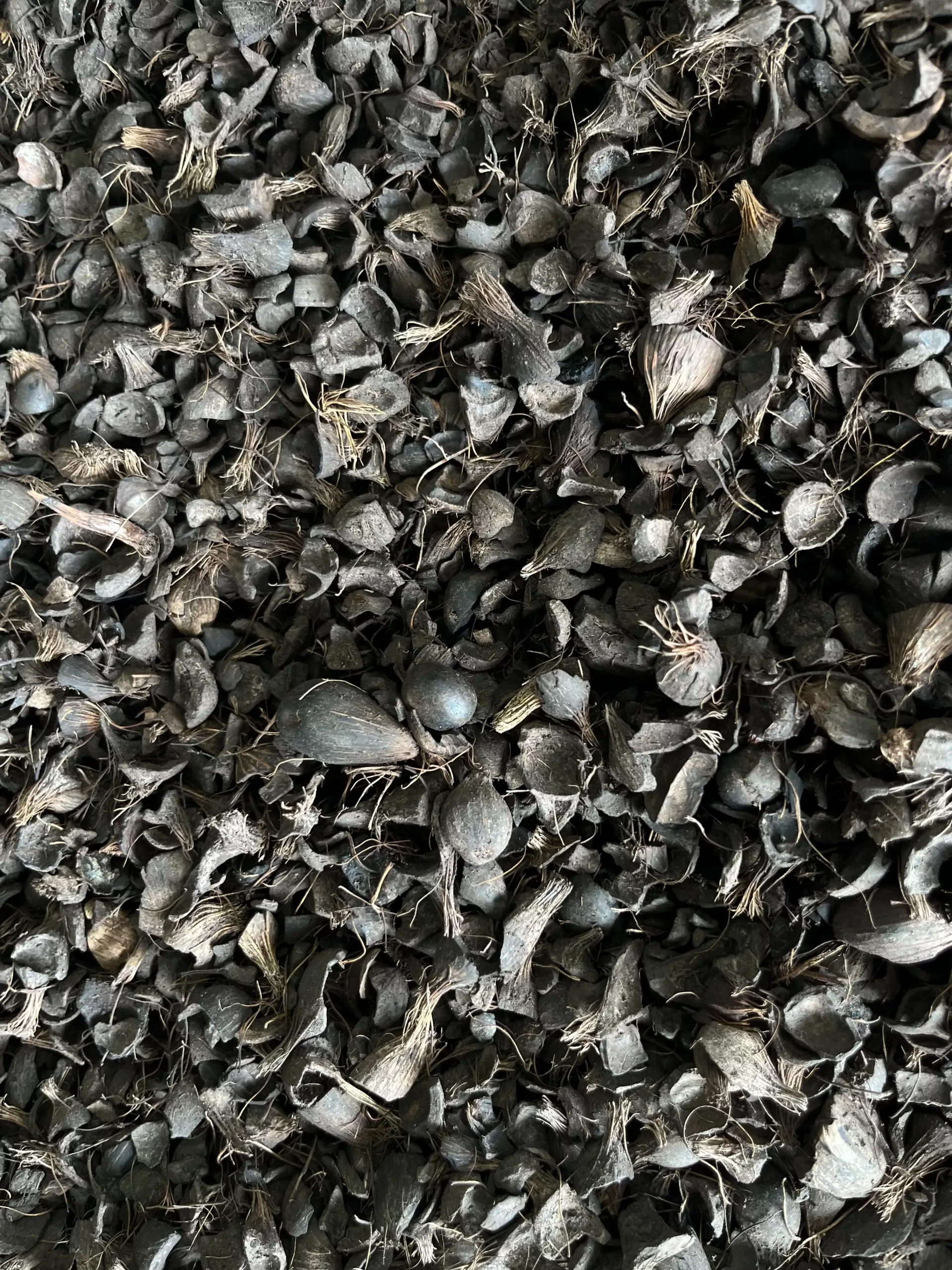 Biomass and Alternative Energy Sourcing | SCG International