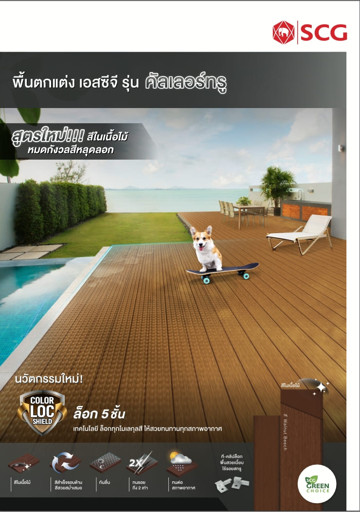 DECAAR BY SCG - Download