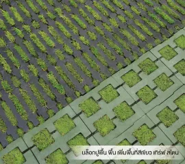บล็อกปูพื้น เทิร์ฟ สโตน
