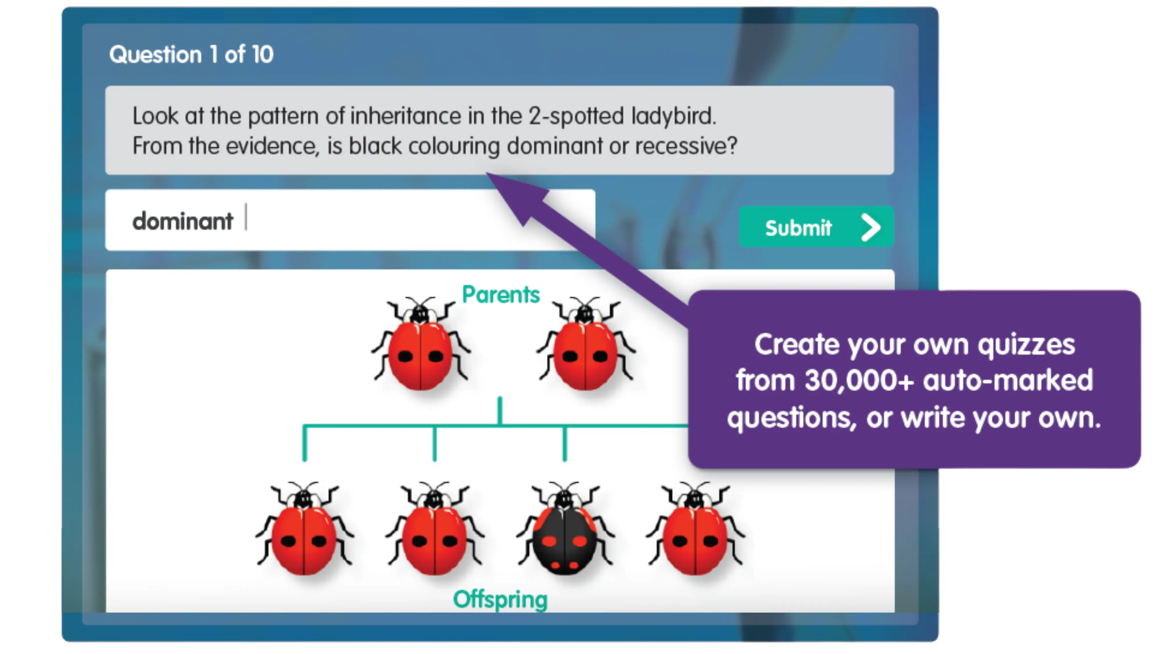 Is Educake the Ultimate Classroom Tool? Find Out Inside