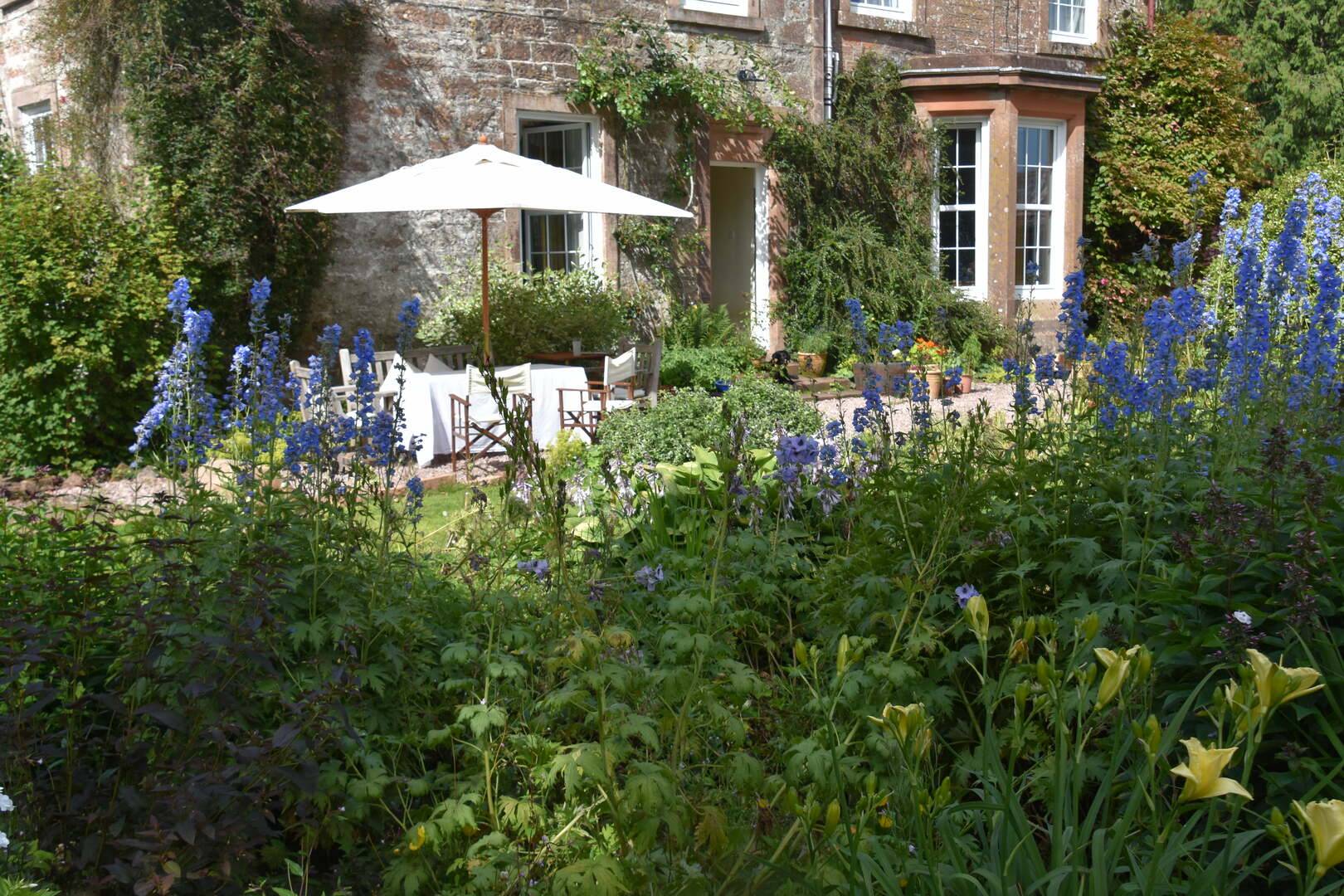 Applegarth House | Accommodation - Scotland Starts Here