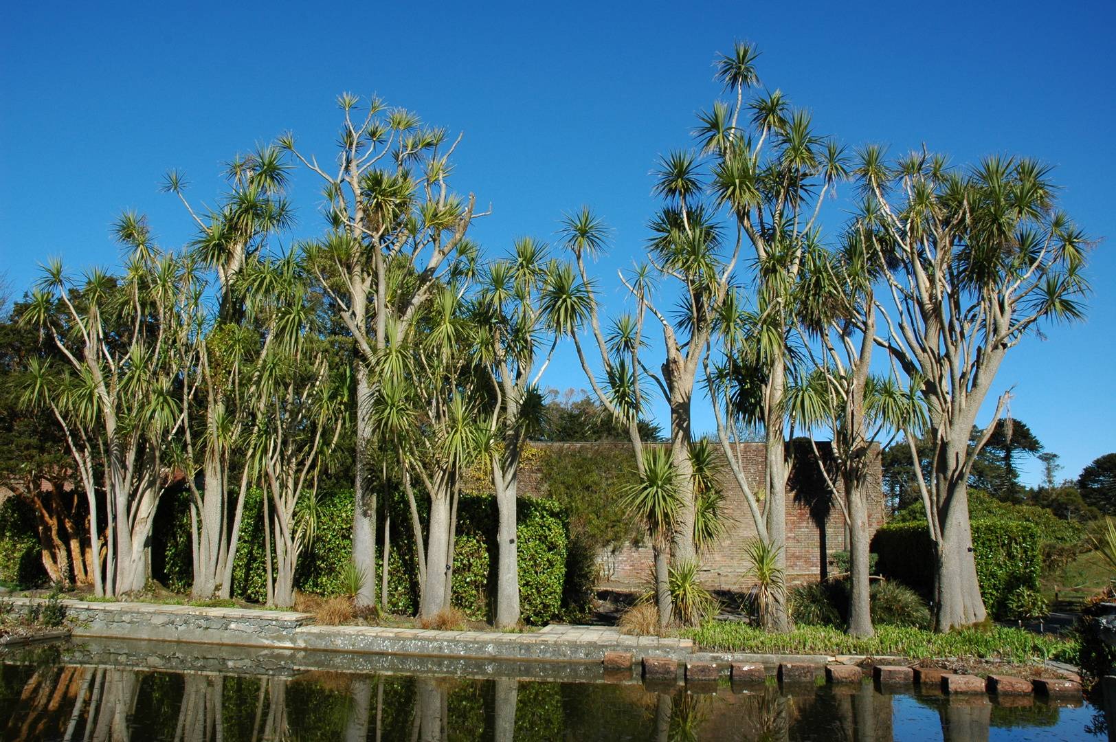 Logan Botanic Garden | Nature & Wildlife - Scotland Starts Here