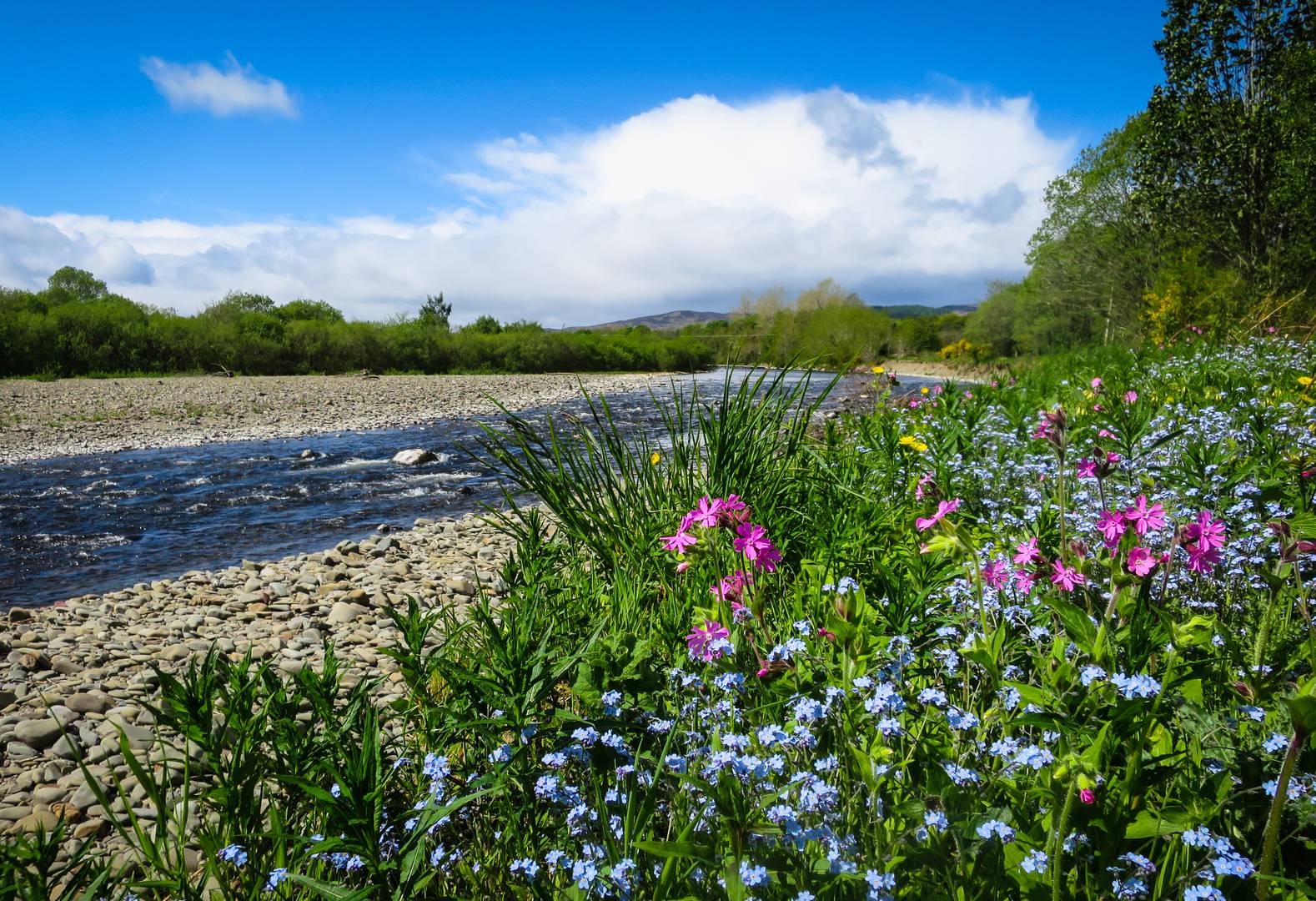 Selkirk | Towns & Villages - Scotland Starts Here
