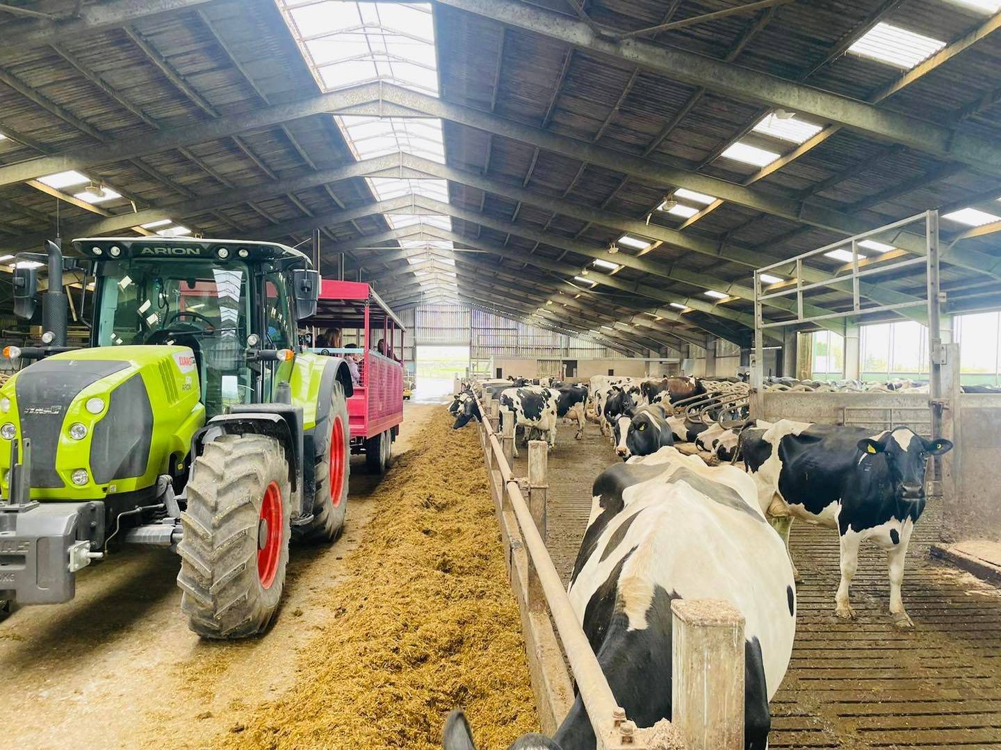 Ernespie Farm Centre | Family Attractions - Scotland Starts Here
