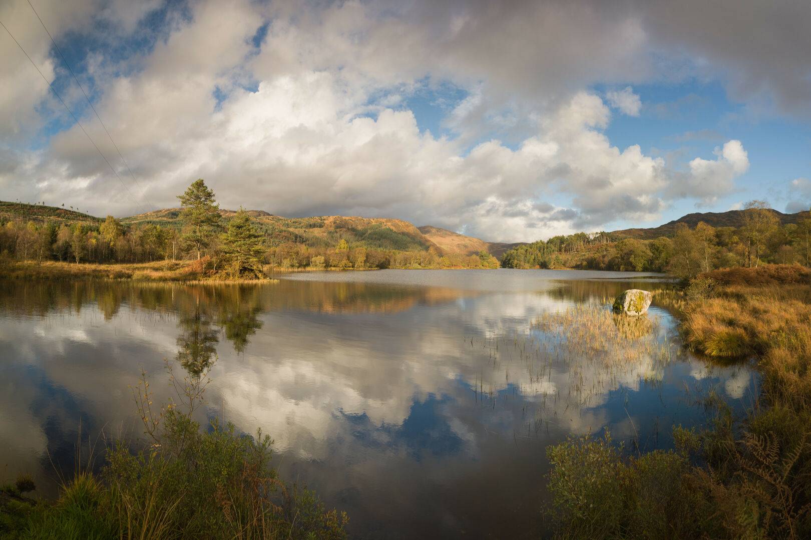 Galloway Forest Park | Nature & Wildlife - Scotland Starts Here