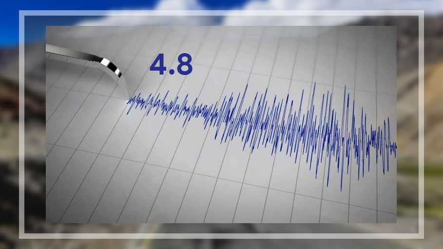 Earthquake of 4.8 Magnitude Hits Leh