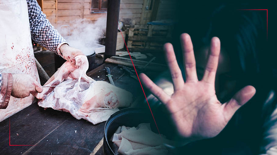 PETA Creating an Awareness or Traumatizing the Children? Check out the ...