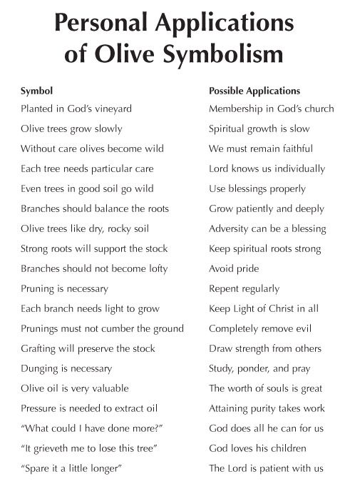 Personal Applications of Olive Symbolism | ScriptureCentral