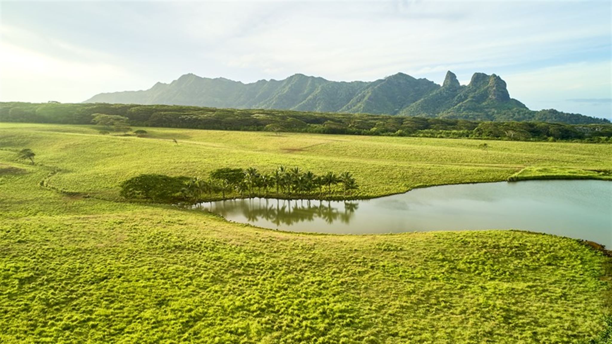 Book of Mormon Evidence: Attestation of Sebus | ScriptureCen