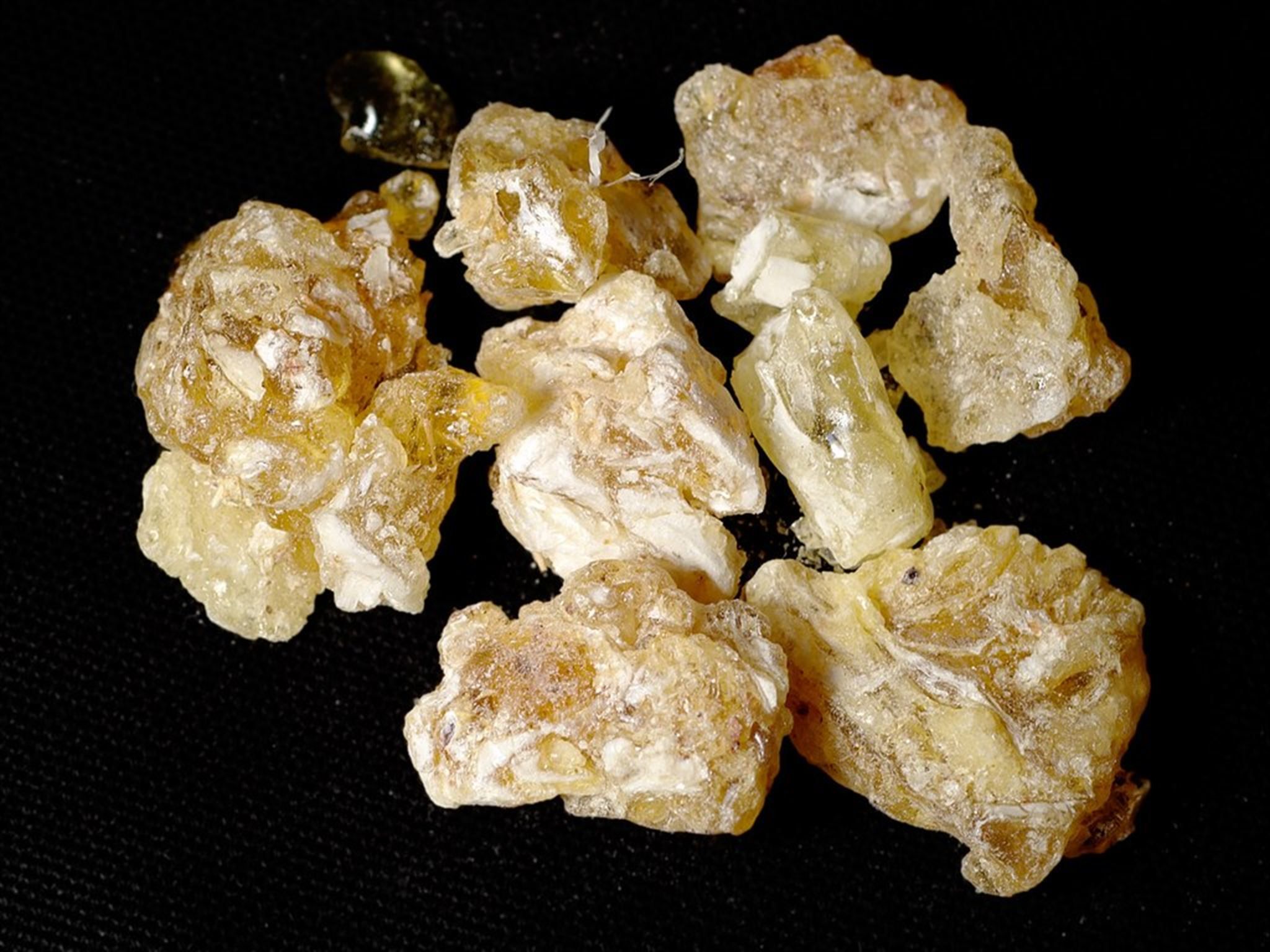 Book of Mormon Evidence: The Frankincense Trail | ScriptureC
