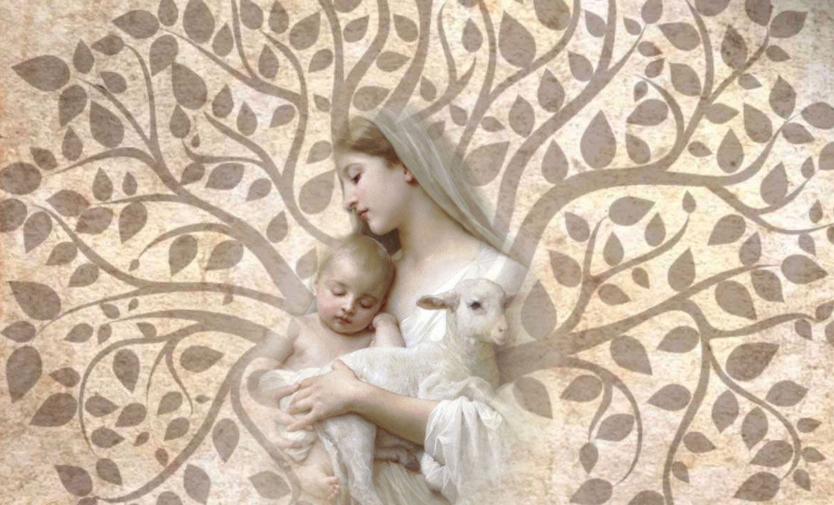 What Does the Virgin Mary Have to Do with the Tree of Life?