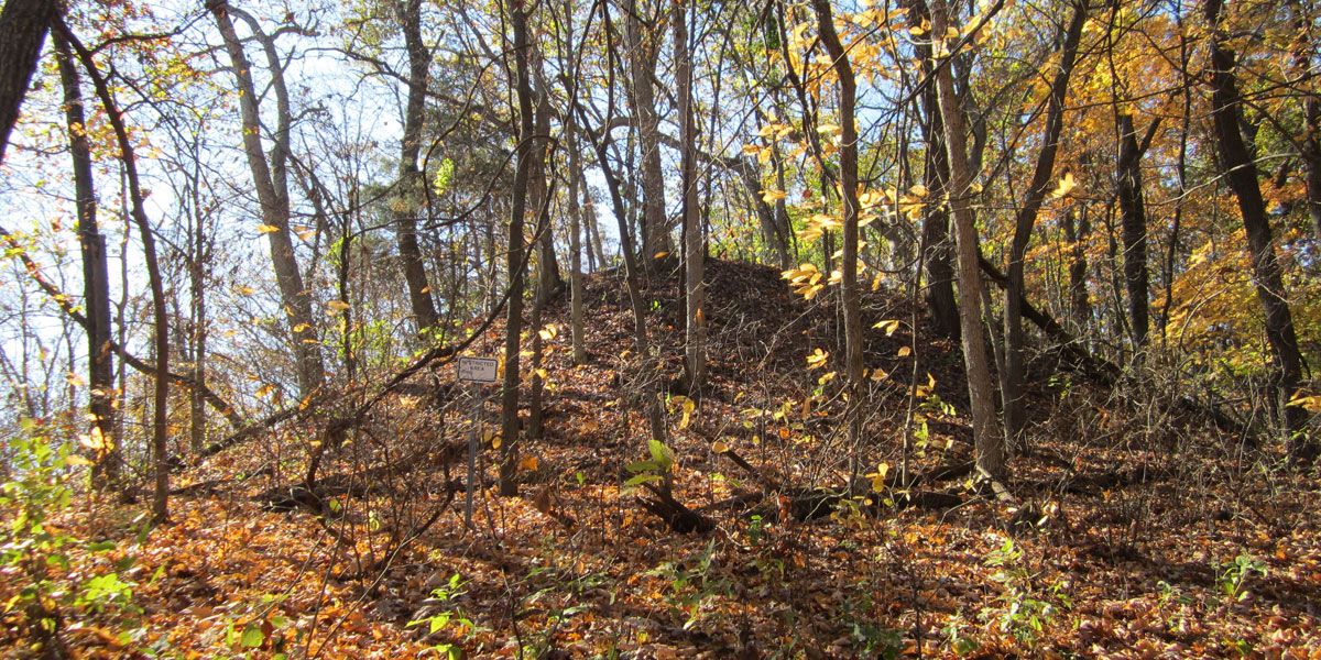 Who Was Zelph? | ScriptureCentral