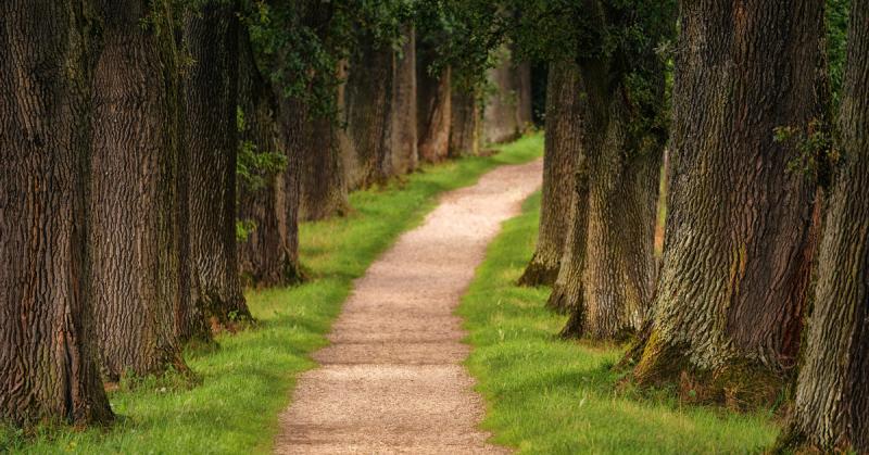 How Can We Walk Perfectly Along the Covenant Path? | Scriptu
