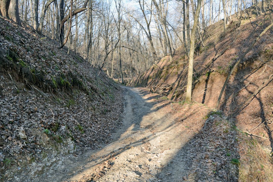 Zelph Mound Area | ScriptureCentral