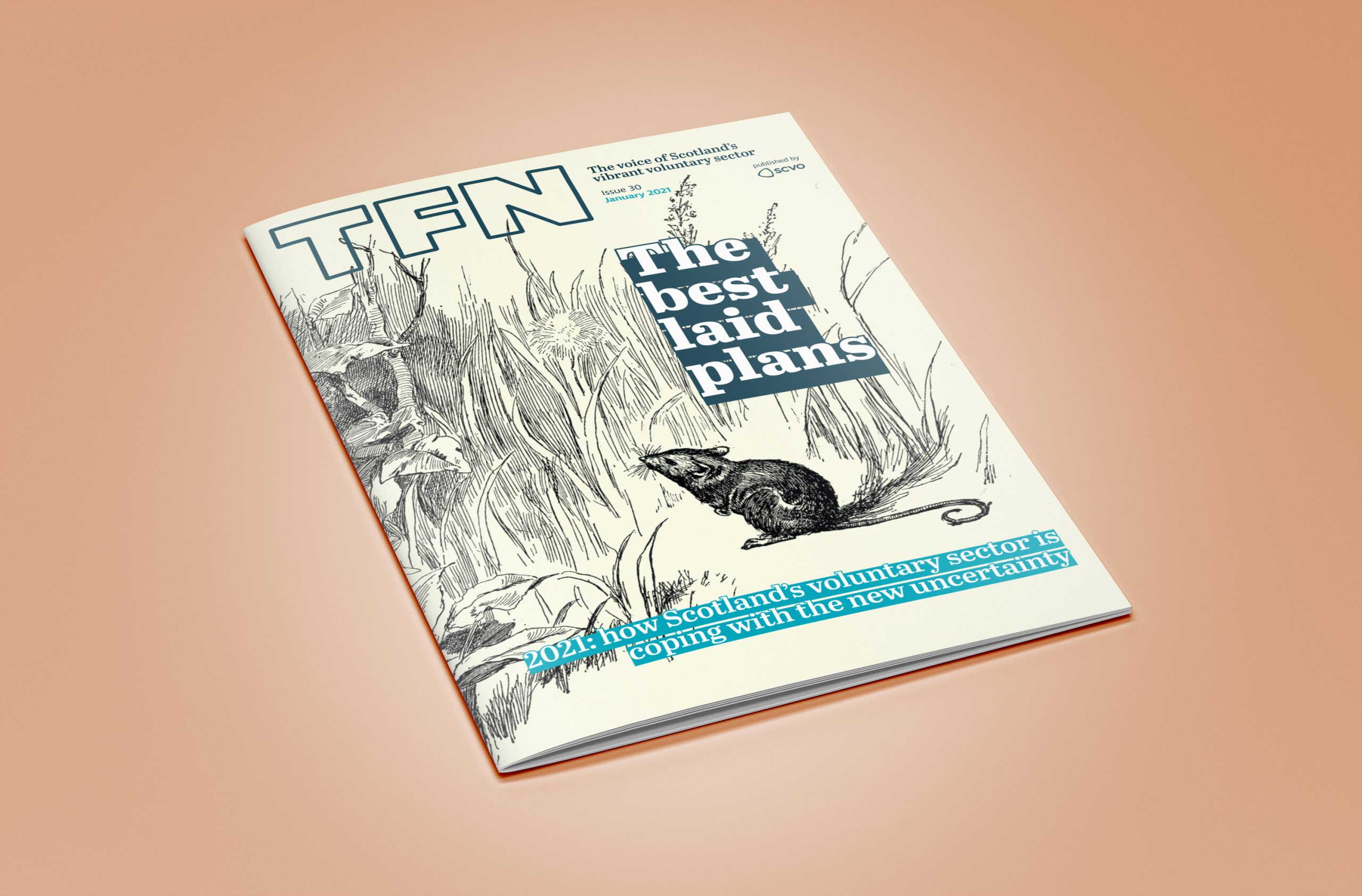 TFN's January edition is out now - read it here! - TFN