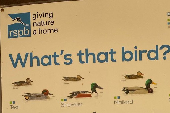 RSPB says it must do better over "sexist" poster - TFN
