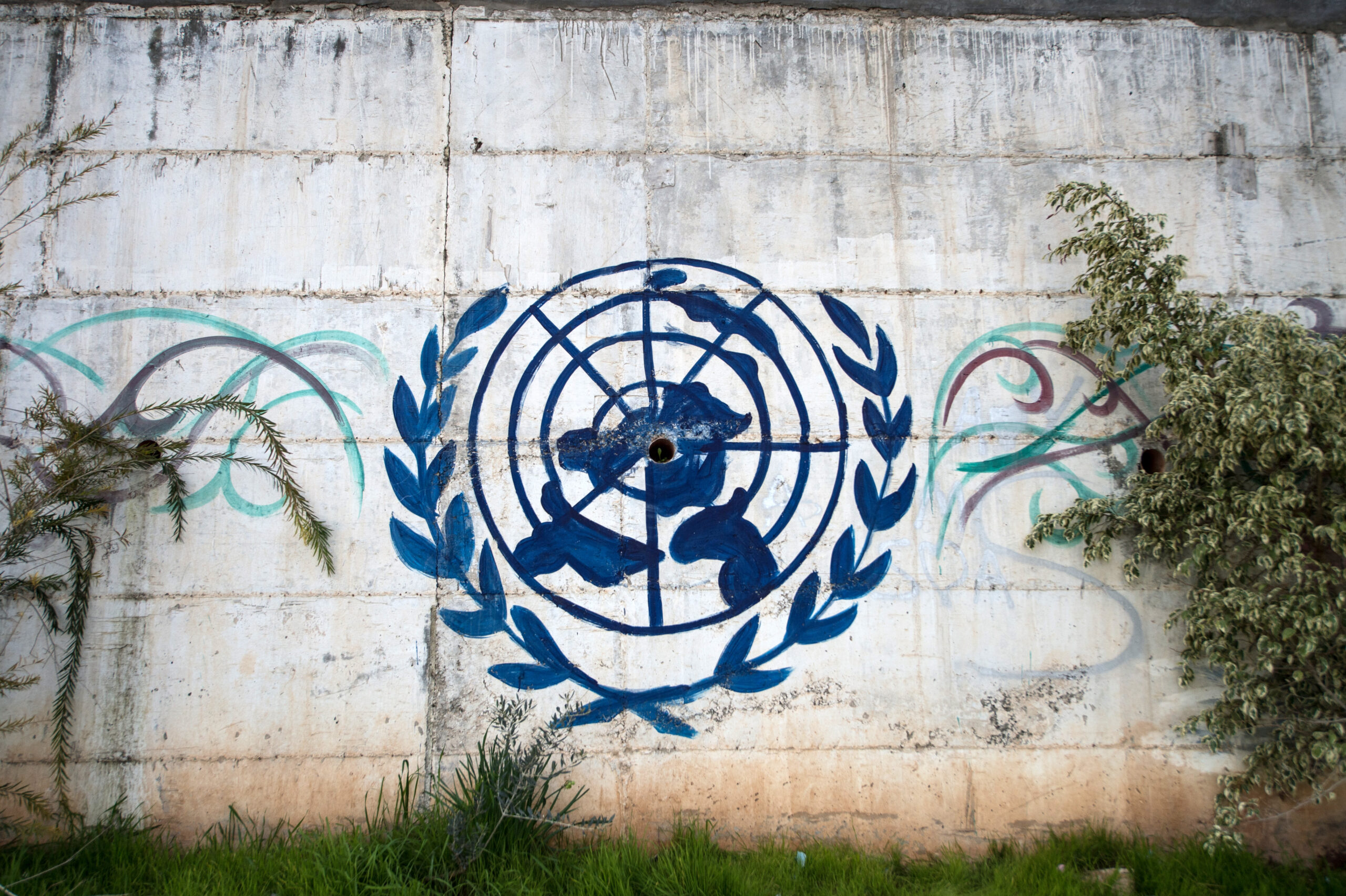 “UK must advocate for UNRWA”: Bosses of NGOs speak out over Israel’s ...