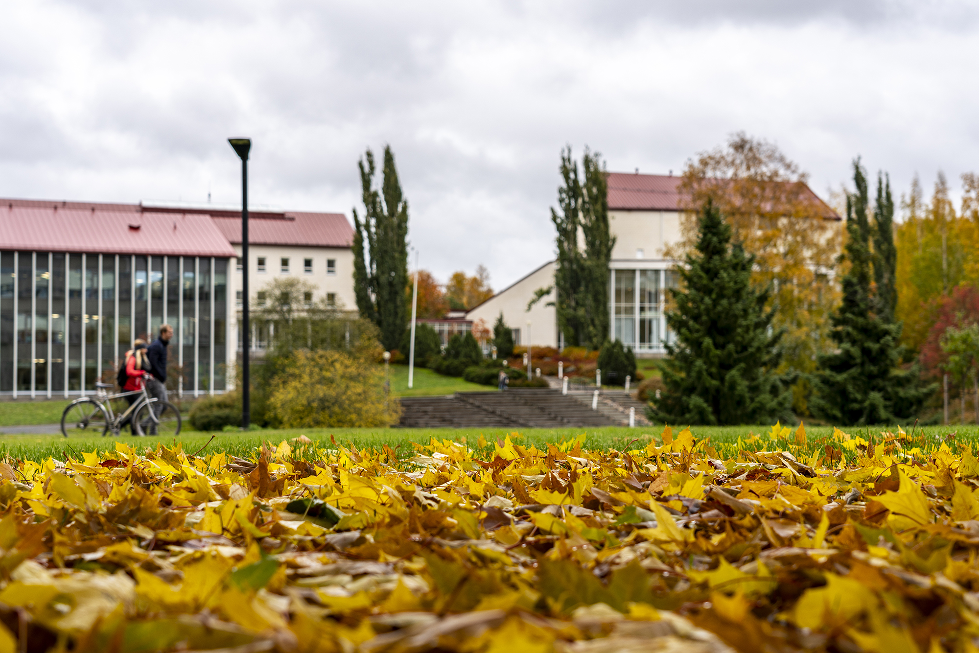 SeAMKin geronomikoulutuksen 30-vuotisjuhla | SEAMK.fi