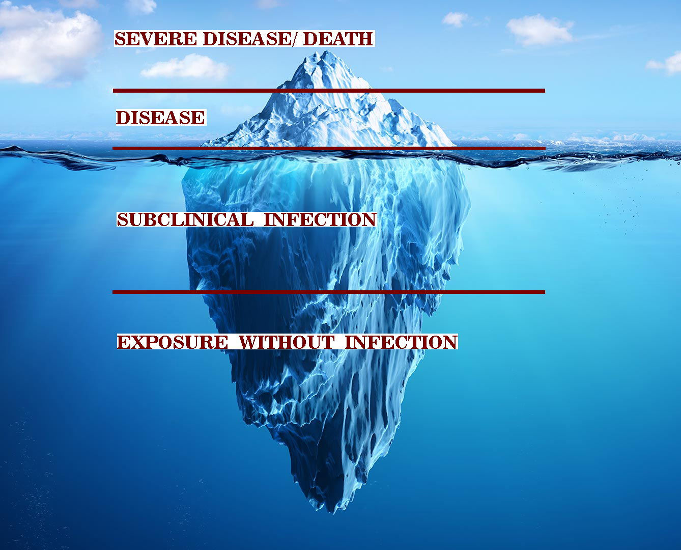 Biosecurity and the control of emerging infectious diseases | Julkaisut ...
