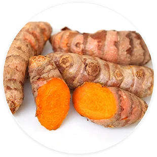 Seven Nutrition - Turmeric Lander with Video