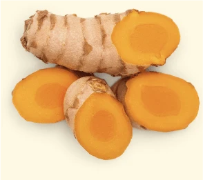 Turmeric BOGO Deal – Seven Nutrition