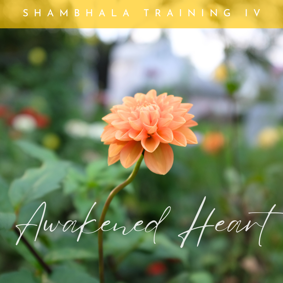 Shambhala Training: Weekend IV - Awakened Heart | Shambhala