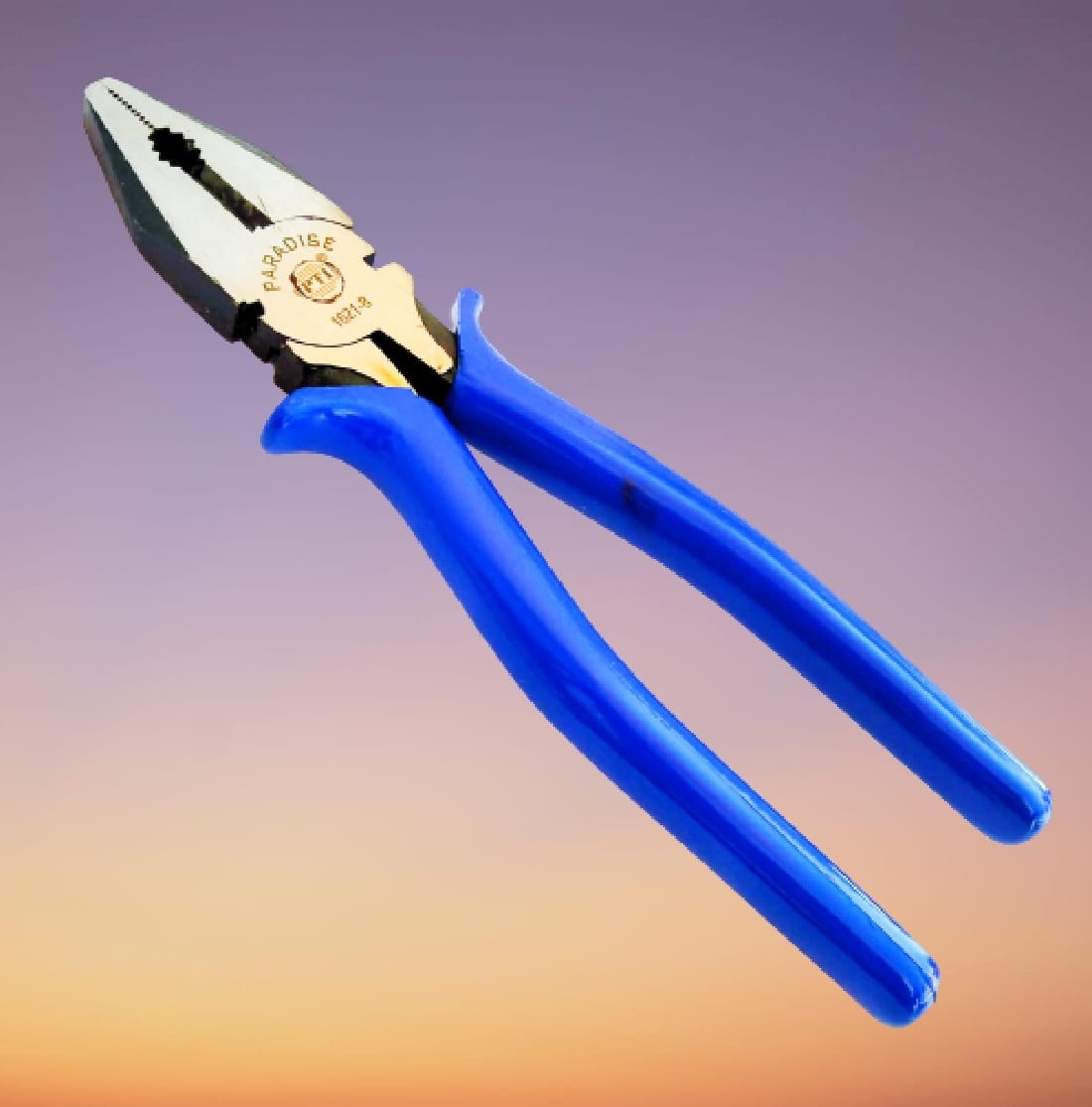 Pilerman Combination Plier 1621-8- Blue